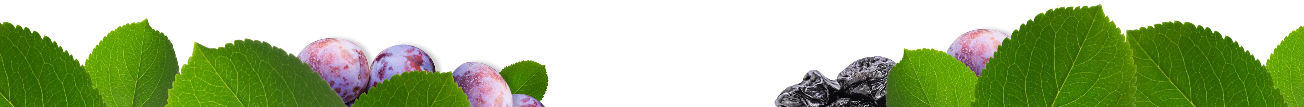 About – Sunraysia Prune